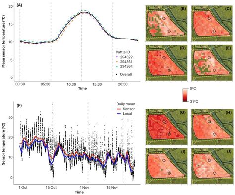Frontiers Mapping Activity Of Grazing Cattle Using Commercial Virtual