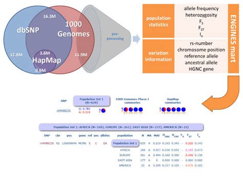 data workflow pre processing of large scale human variation sources