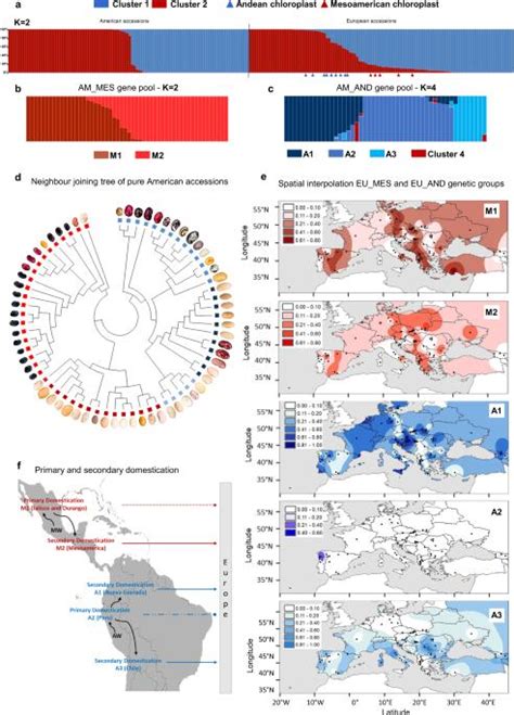 Selection And Adaptive Introgression Guided The Complex Evolutionary History Of The European