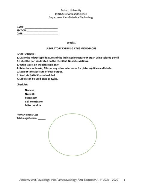 Laboratory Exercise 3 The Microscope Pdf