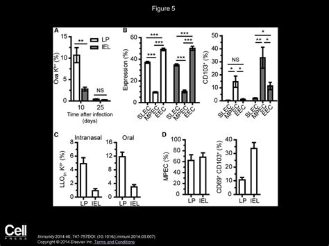 Volume Issue Pages May Ppt Download