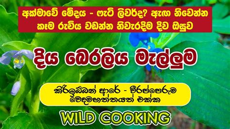 Diyaberaliya Youtube