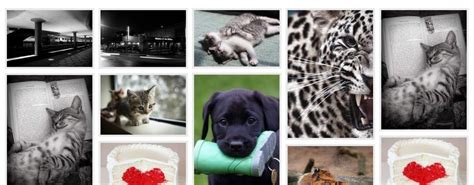 Mengenal Dasar Dasar Css Pengenalan Tahap Awal