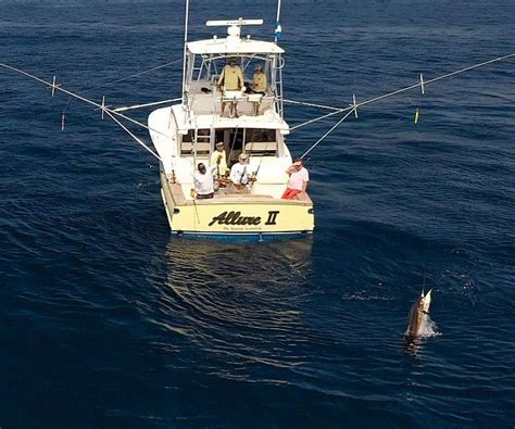 Chris Van Leeuwen On Linkedin Sailfish Baitandswitch