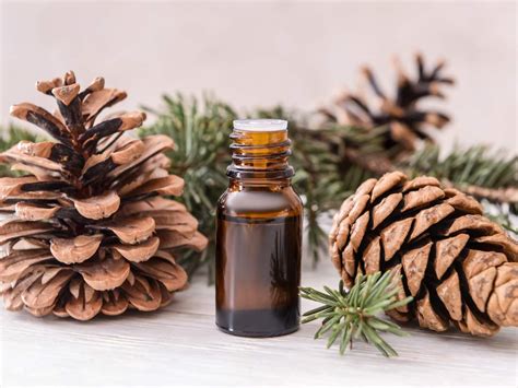 Pinetastic 10 Pine Diffuser Blends To Try