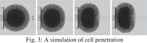 Figure 1 From Speed Optimization Of Cell Penetration Based On Simulation Semantic Scholar