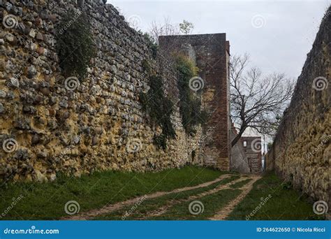 Bare Tree Growing Sideways On A Dirt Path Bordered By Fortifications On A Cloudy Day Stock Photo