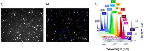 Swcnt Multiplexing With Hyperspectral Luminescence Imaging Photon Etc