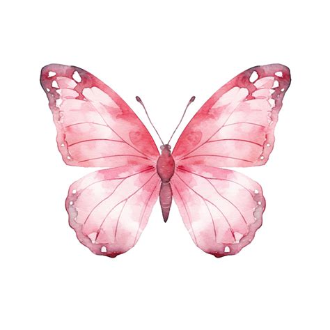 Borboleta Em Png Rosa Borboleta Rom Ntico Imagem Png E Off