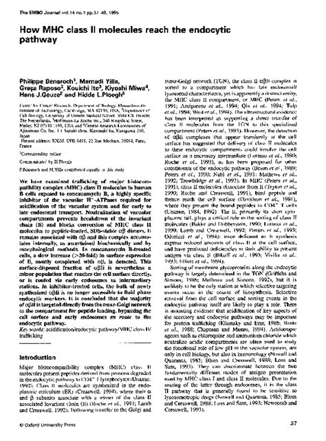 Pdf How Mhc Class Ii Molecules Reach The Endocytic Pathway