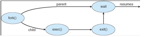 Solved Goal Create A Shell Using The Coding Template Chegg