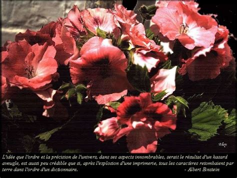 Dcors Floraux Et Quelques Citations Dalbert Einstein Cest