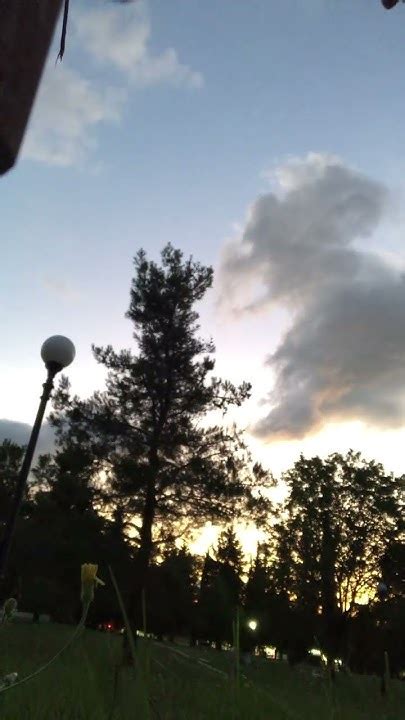 მოანა Youtube