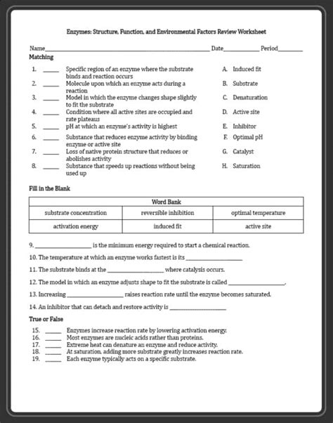 Enzymes Structure Function And Environmental Factors Review Worksheet Biology