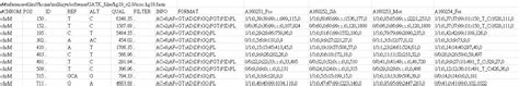 Split Multiple Samples In Vcf File Generated By Gatk Genome 101