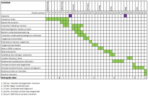 Voorbeeld Planning Scriptie En Sjabloon
