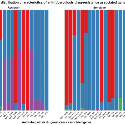 mutation distribution characteristics of anti tuberculosis