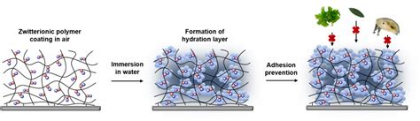 Zwitterionic Polymers Biointerfaces