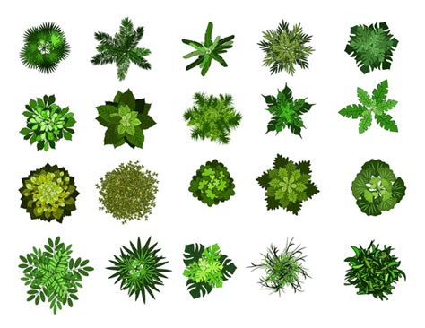 Circle Tree Array Over 95 Royalty Free Licensable Stock Illustrations Circle Tree Array Over 95 Royalty Free Licensable Stock Illustrations