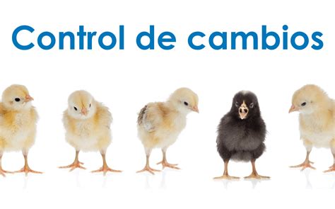 Que Es Un Control De Cambios