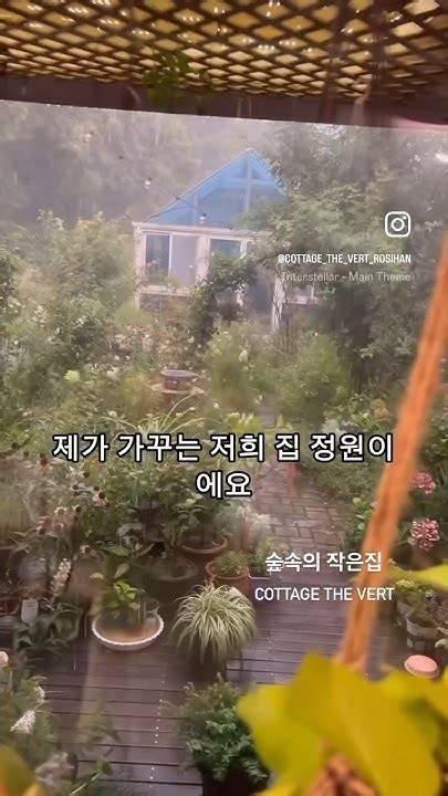 비내리는 숲속의 작은집 감성정원 정원사 가드너 로지한 Youtube