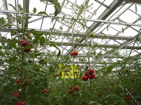 Техникийн шинжлэх ухааны хөдөө аж ахуйн салбар