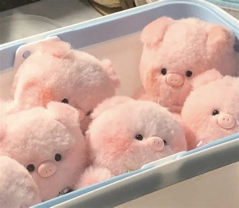 Cute Thing Плюшевые игрушки Свинки Игрушки для подростков