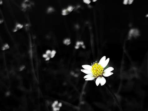 Vinay Lingala 사진