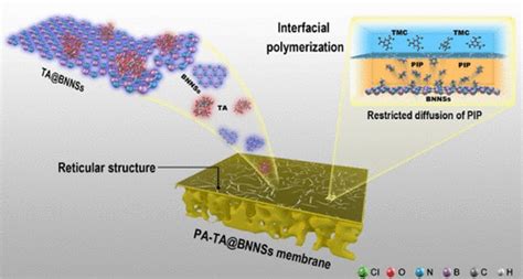 Reticulated Polyamide Thin Film Nanocomposite Membranes Incorporated