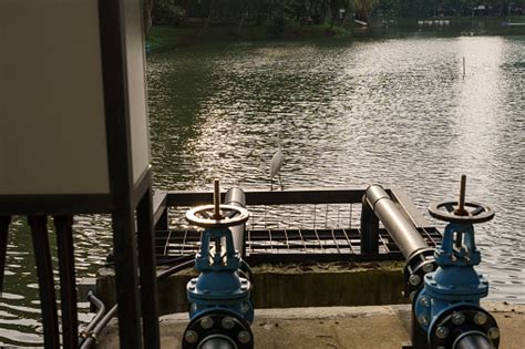 파이프와 밸브가 전경에 있는 물 근처에 서 있는 새가 있는 고요한 호수 전망 0명에 대한 스톡 사진 및 기타 이미지 0명 강 건설 기계류 Istock