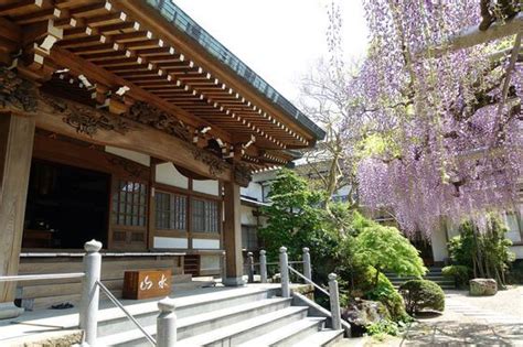 林泉寺の御朱印とアクセス方法静岡県伊東市荻 歩いてみたブログ