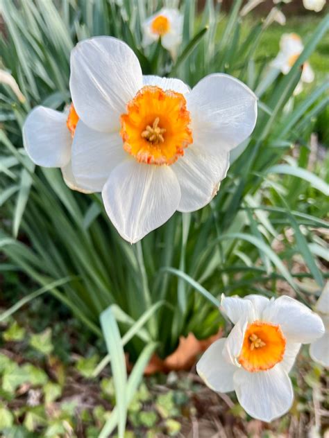 Happy Easterpassover