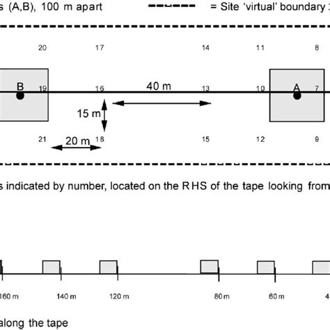 Plant Sampling Layout Within The 96 X1 Ha Permanent Sites Showing