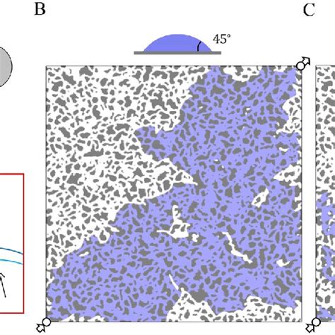 Interface Tracking Algorithm For Multiphase Flow A Schematics Of Download Scientific Diagram