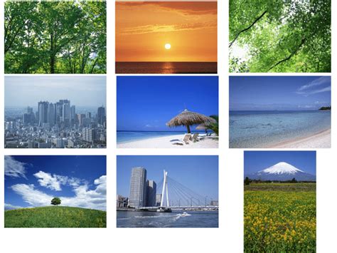 example images in experiment download scientific diagram