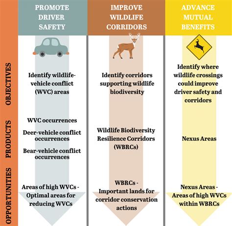 Virginias Wildlife Corridor Action Plan Virginia Dwr