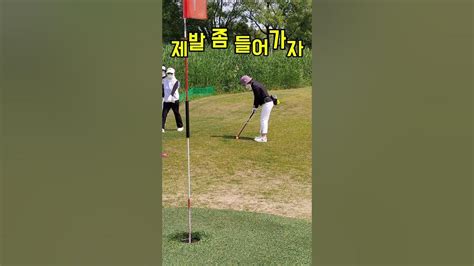 제발 좀 들어가자 퍼팅은 어려워 파크골프 파크골프퍼팅 퍼팅실패 Youtube