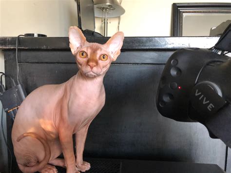 Now That She Tried The Magic Leap I Can T Get Her To Even Wear The Vive R Magicleap