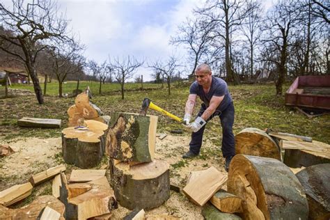 748 Man Splitting Log Stock Photos Free Royalty Free Stock Photos From Dreamstime