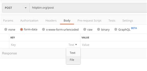 Postman File Upload Example Caqwedelivery