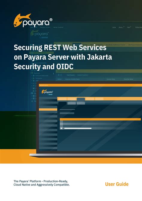 Securing Rest Web Services On Payara Payara Services Ltd