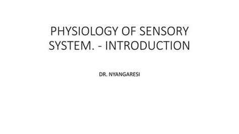 Introduction To The Nervous System Ppt