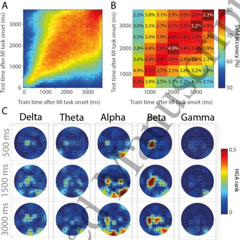 Temporal Dynamics Of Motor Imagery Features A Svm Cross Temporal