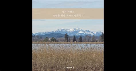 ‎아기자장가 숙면을 위한 피아노 연주곡 3 Single 아기자장가 숲的專輯 Apple Music