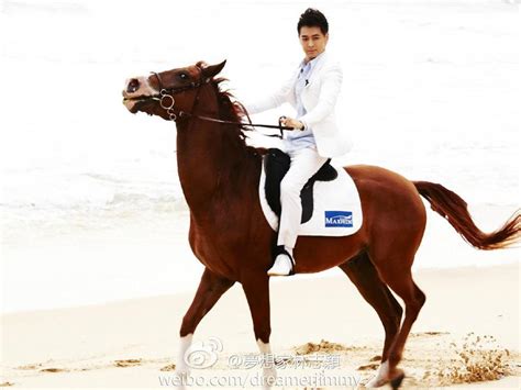 林志颖唯美婚纱照电脑壁纸明星电脑壁纸 52图片网