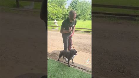 Starfield Outpost Layout And Building Tips