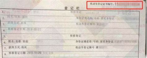 登记证书编号在哪里看 有驾