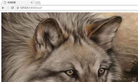 Python创建django项目 Csdn博客