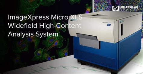 Imagexpress Micro Xls Widefield High Content Analysis System