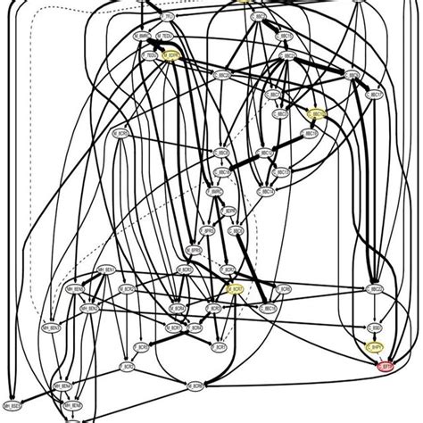 class 1 2 class 3 threshold 85 bayesian network structure each